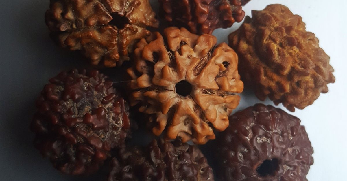 Rudraksha Bead Guide: From 1 Mukhi to 21 Mukhi Rudraksha